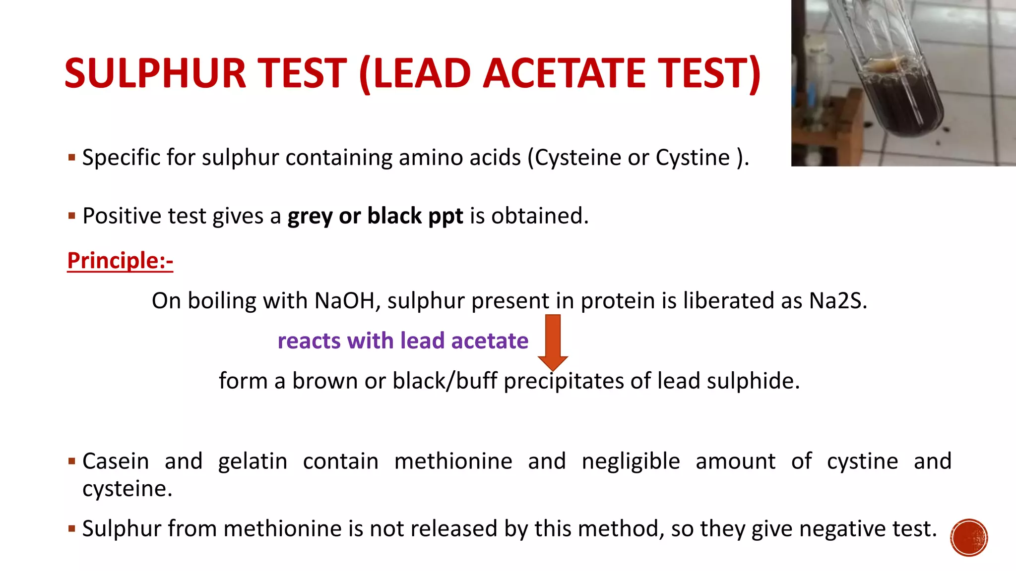Test for Protein practical | PPTX