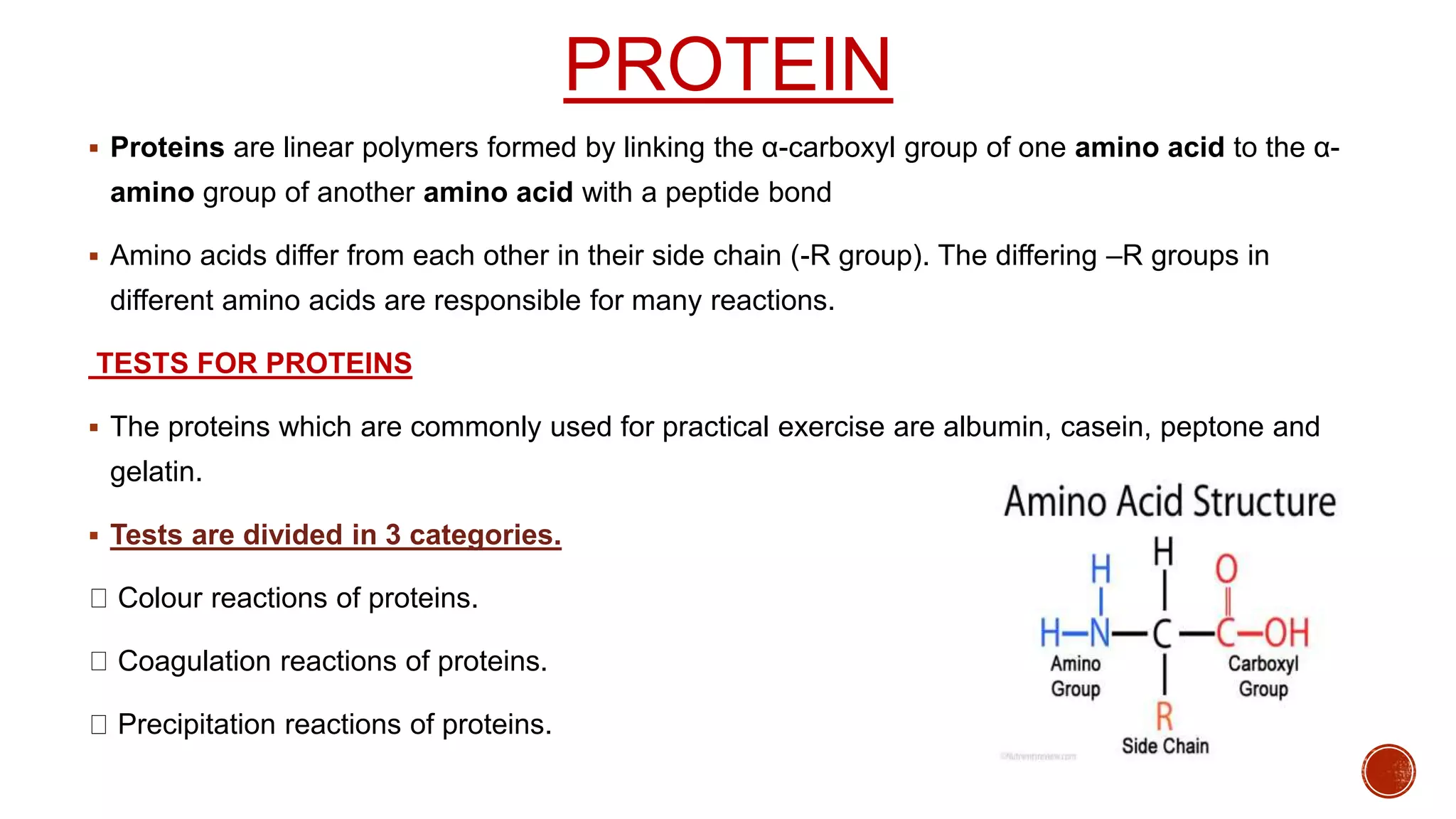 Test for Protein practical | PPTX