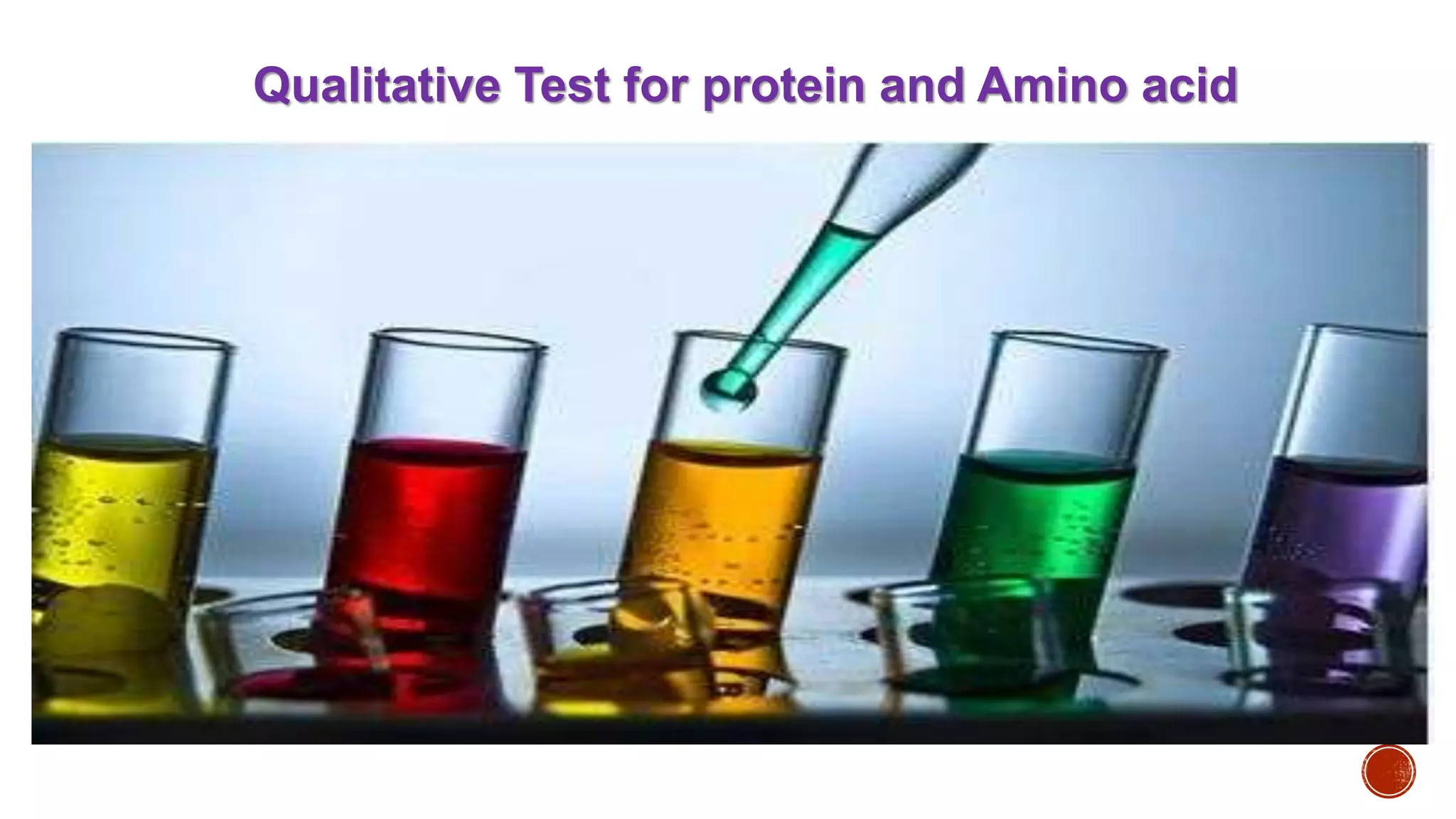 Test for Protein practical | PPTX