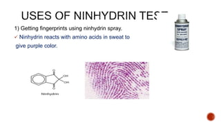 Test for Protein practical | PPTX