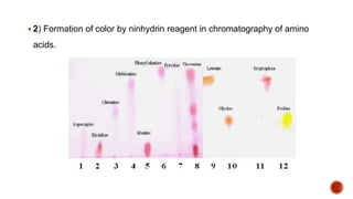 Test for Protein practical | PPTX