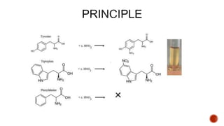 Test for Protein practical | PPTX