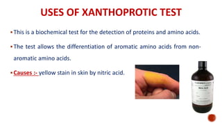 Test for Protein practical | PPTX