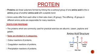 Test for Protein practical | PPTX