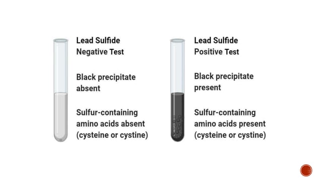 Test for Protein practical | PPTX
