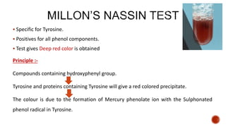 Test for Protein practical | PPTX