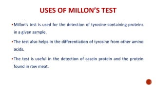 Test for Protein practical | PPTX