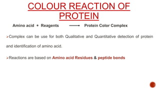Test for Protein practical | PPTX