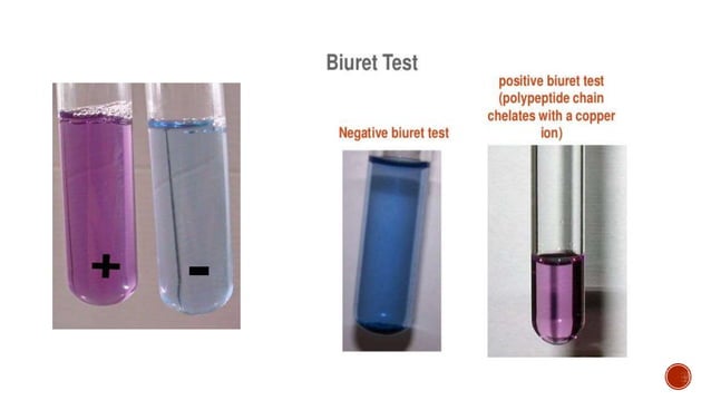 Test for Protein practical | PPTX