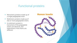protein presentationgkjcdtyjjj xdfgggg.pptx
