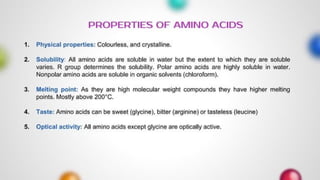 Protein_Presentations_PowerPoint Slides | PPT