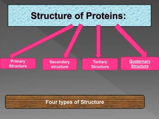 Protein Classification & Features By Syekat | PPTX