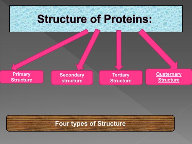 Protein Classification & Features By Syekat | PPTX