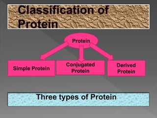 Protein Classification & Features By Syekat | PPTX
