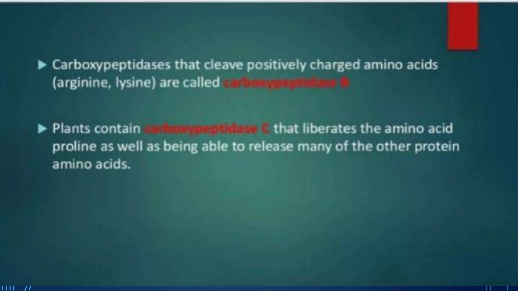 Protein primary structure determination | PPT