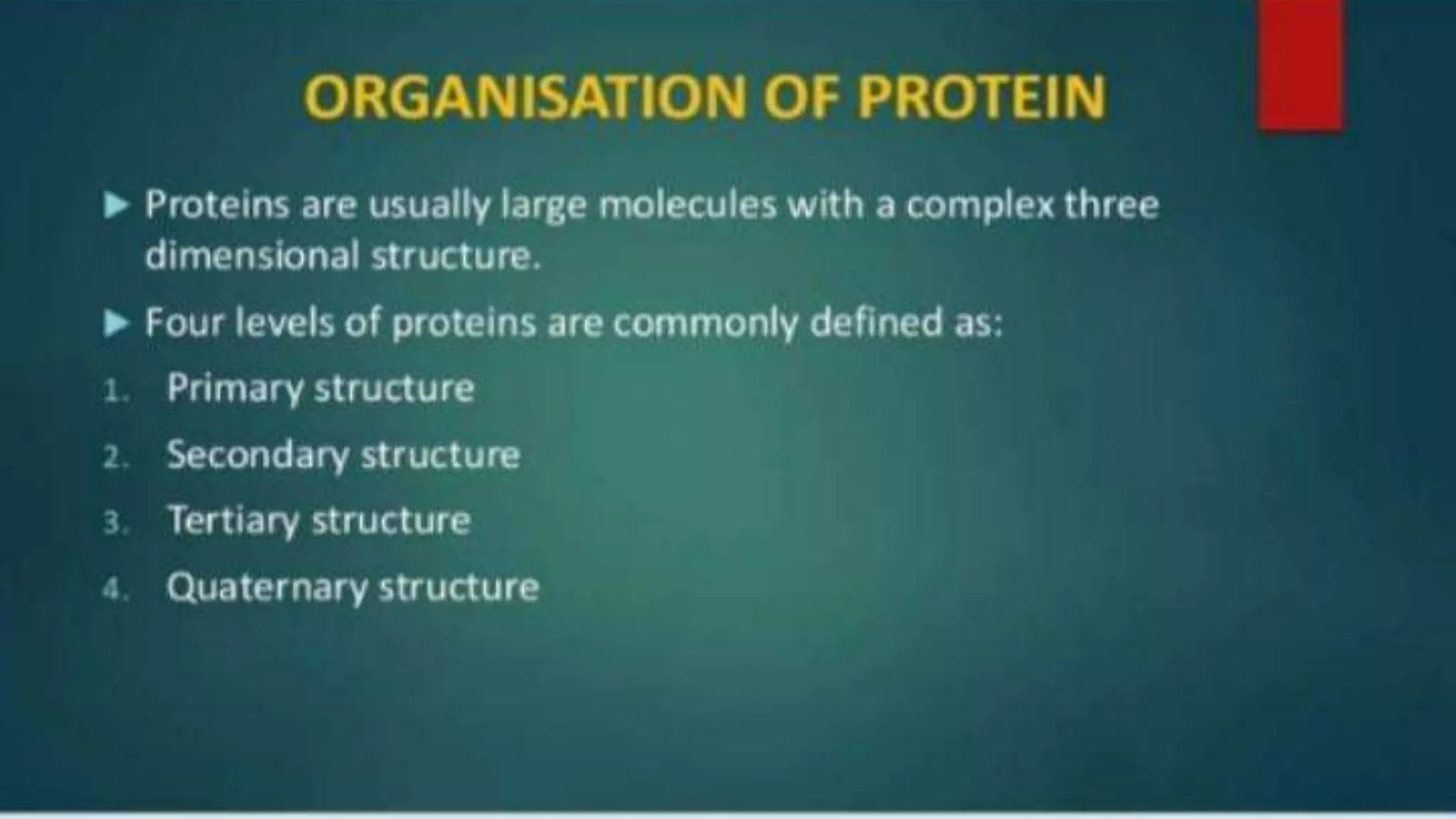 Protein primary structure determination | PPT