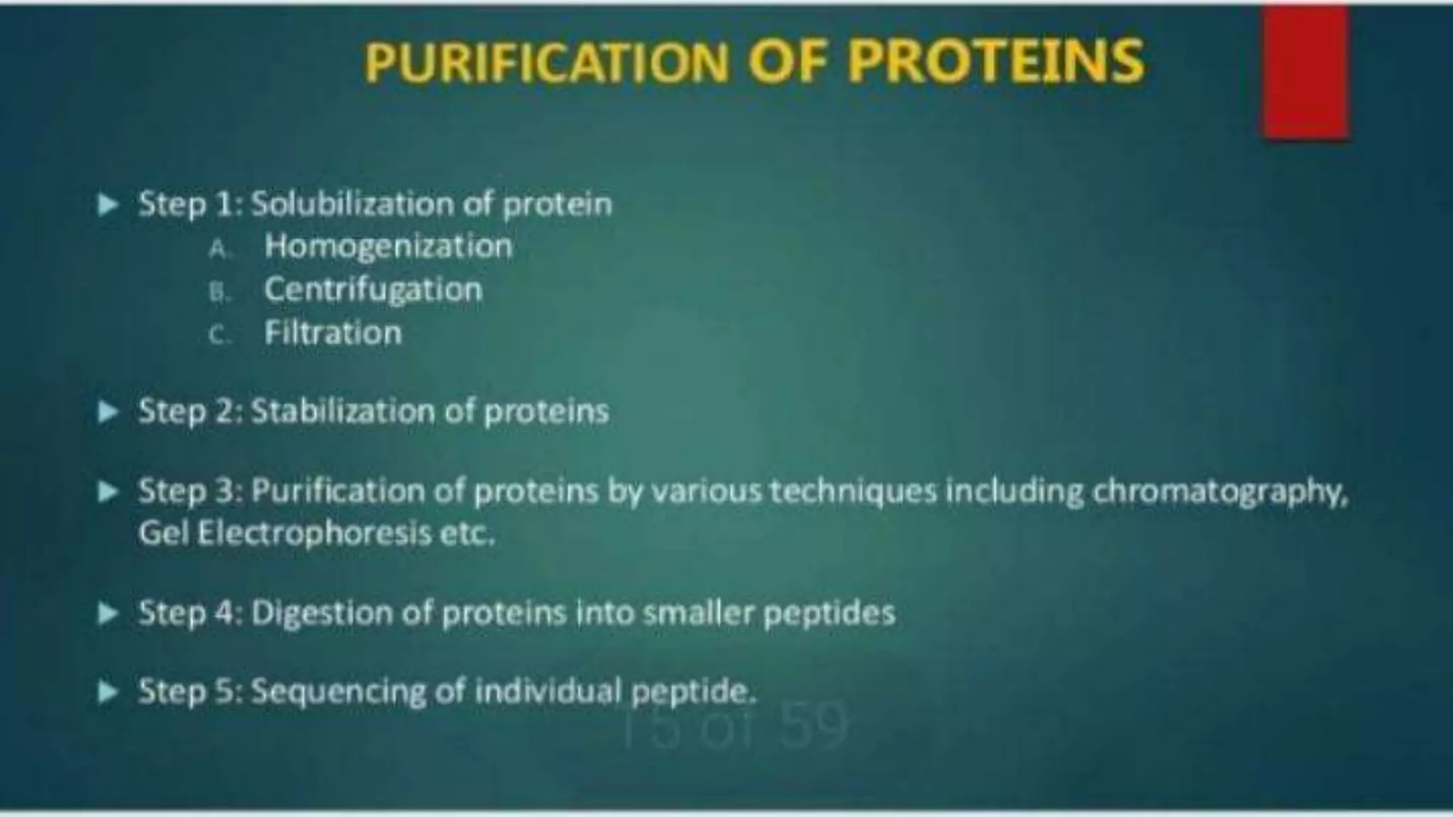 Protein primary structure determination | PPT