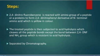 Protein primary structure determination | PPT