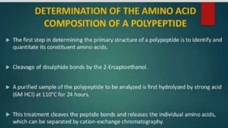 Protein primary structure determination | PPT