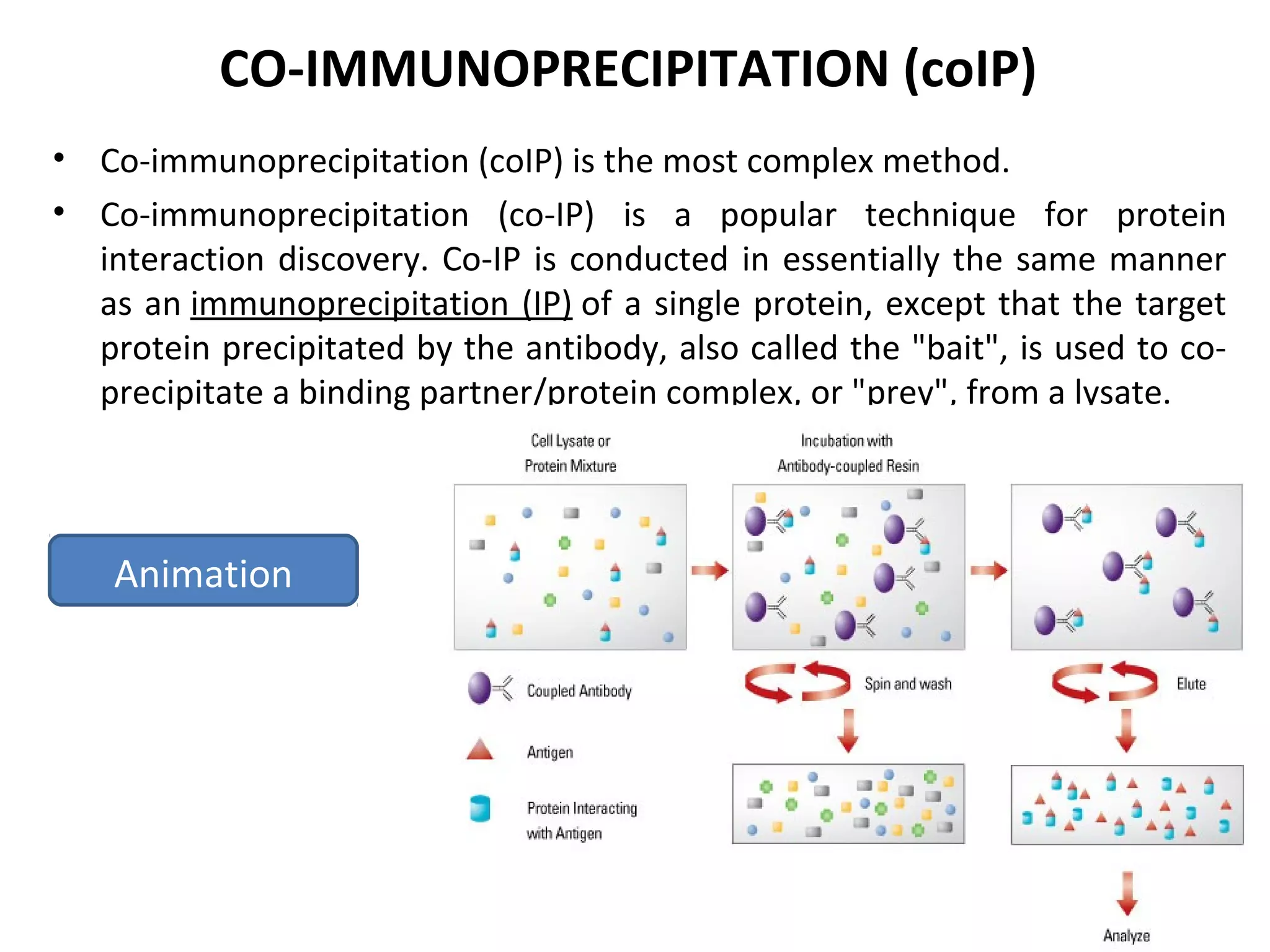 Protein protein interaction | PPT