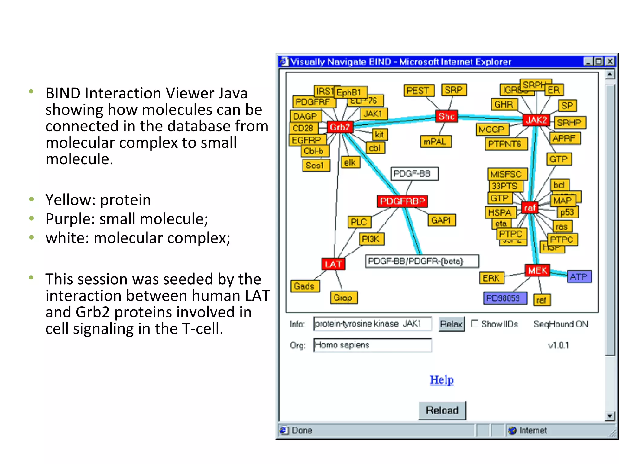 Protein protein interaction | PPT