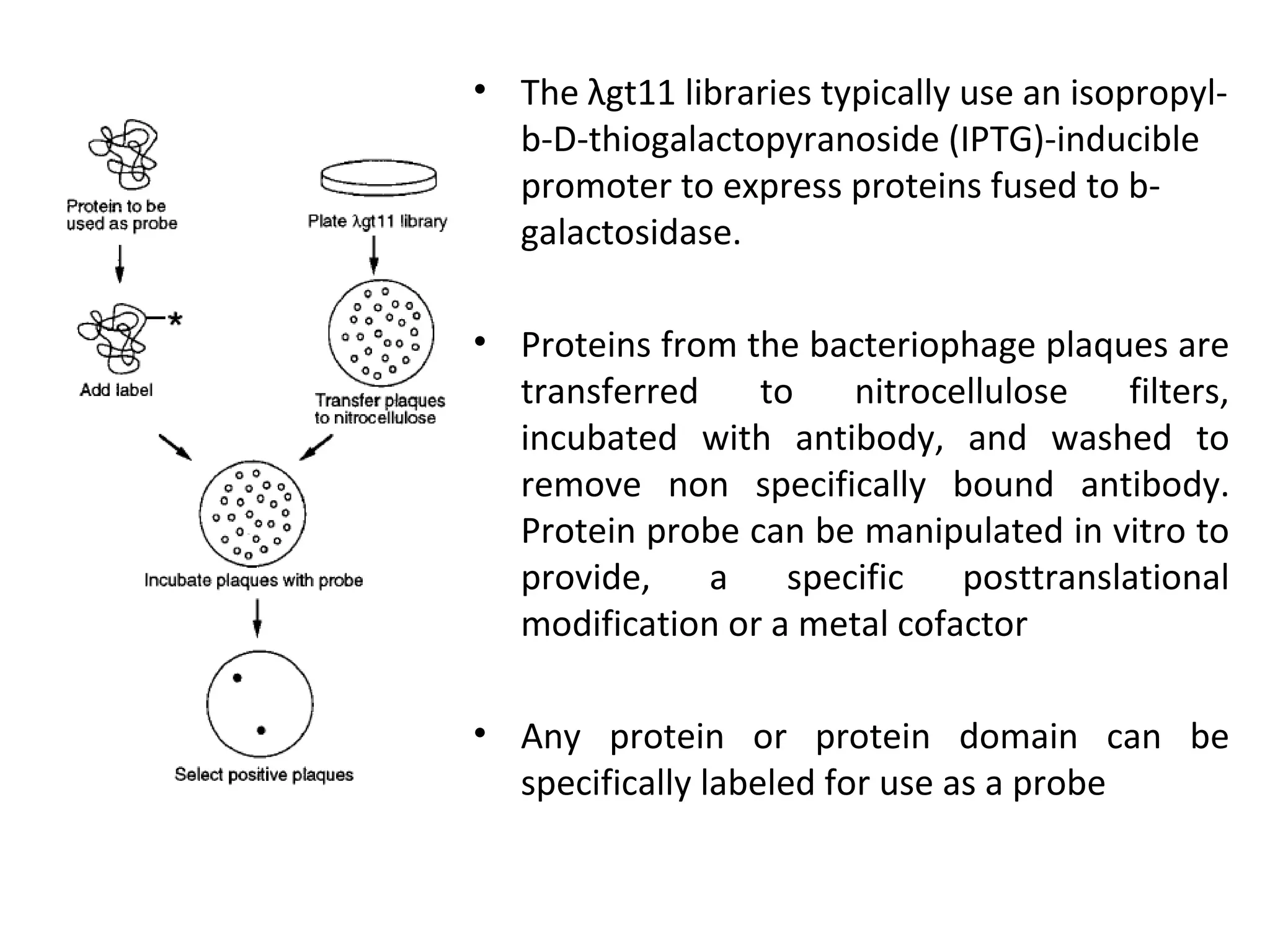 Protein protein interaction | PPT