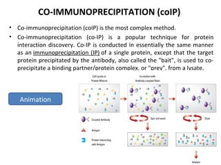 Protein protein interaction | PPT