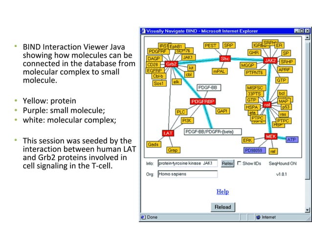 Protein protein interaction | PPT