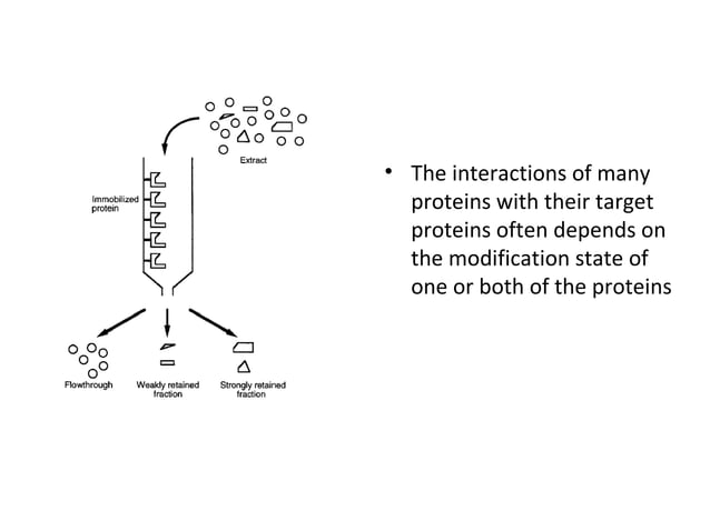 Protein protein interaction | PPT