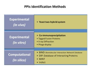 Protein protein interaction | PPT