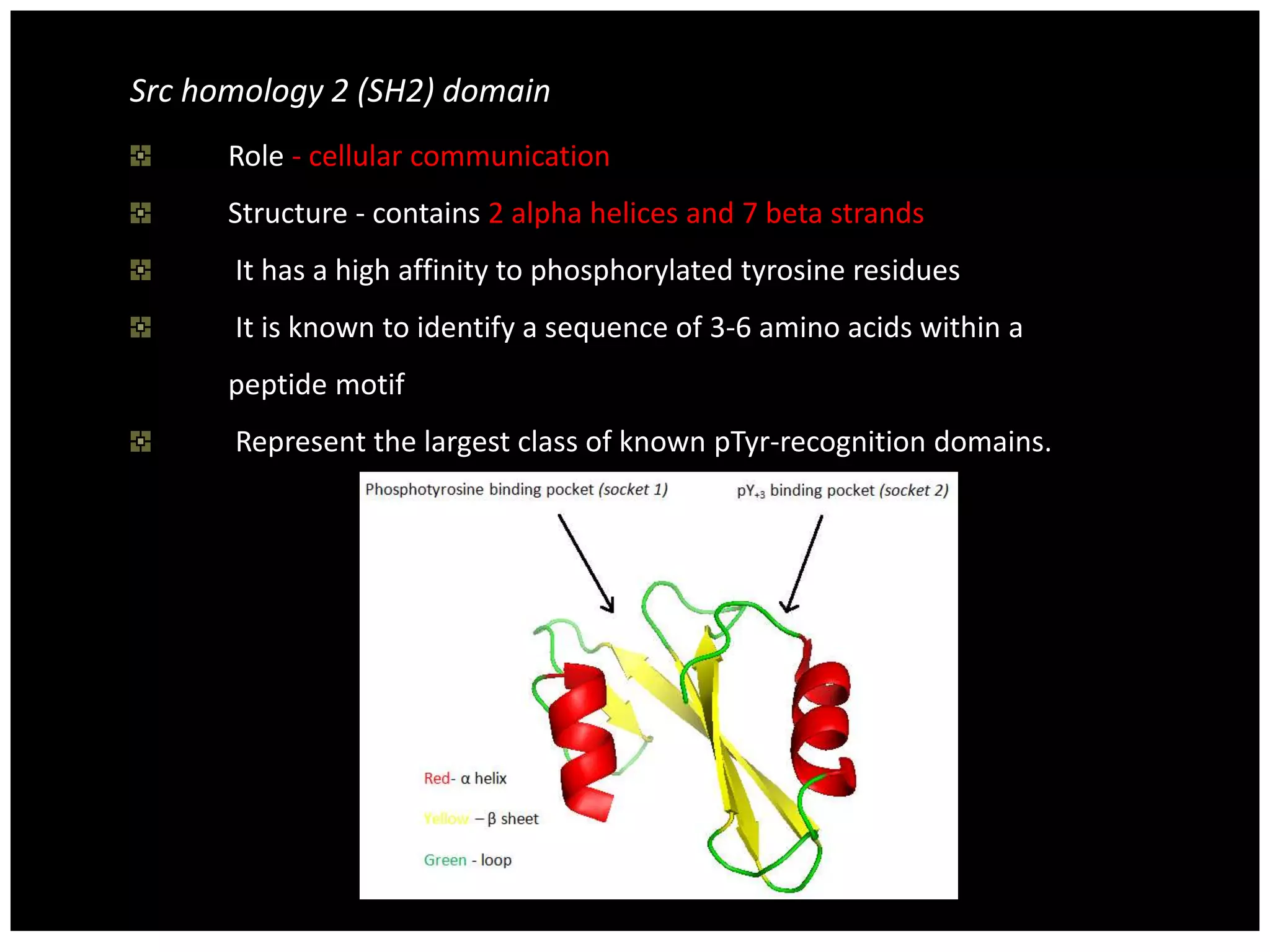Protein protein interactions | PPTX