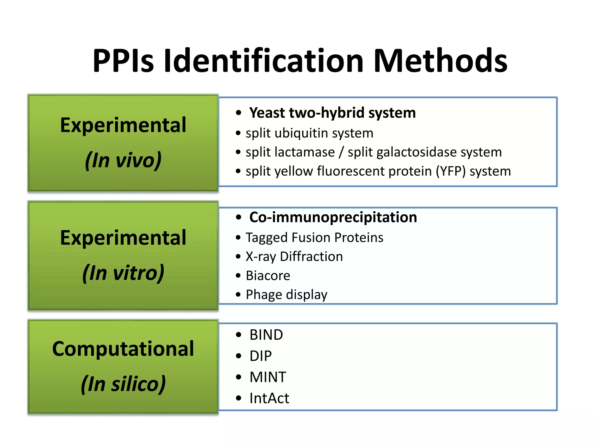 Protein protein interactions | PPTX