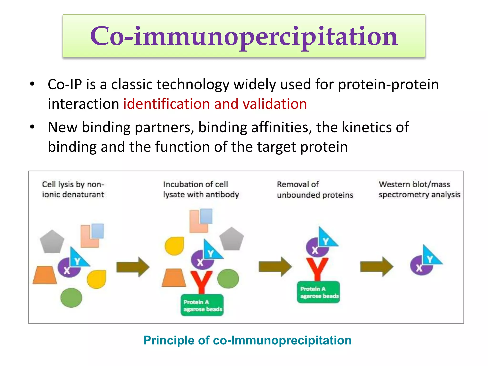 Protein protein interactions | PPTX