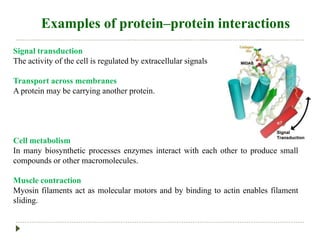 Protein protein interactions | PPTX