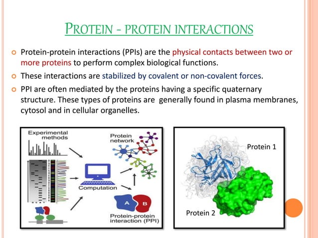 Protein protein interactions.pptx | Chemistry | Science