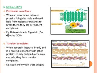 Protein protein interactions.pptx