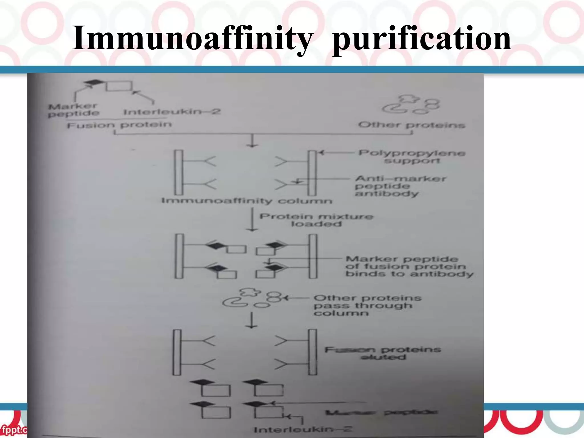 Protein purification | PPTX