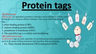 Protein purification | PPT