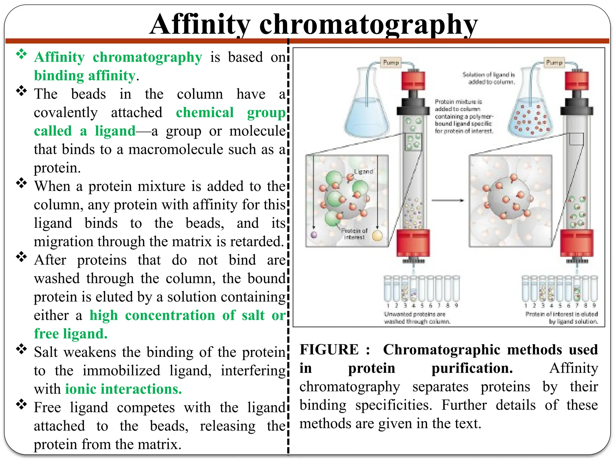 Detailed methods for the purification of proteins.pptx