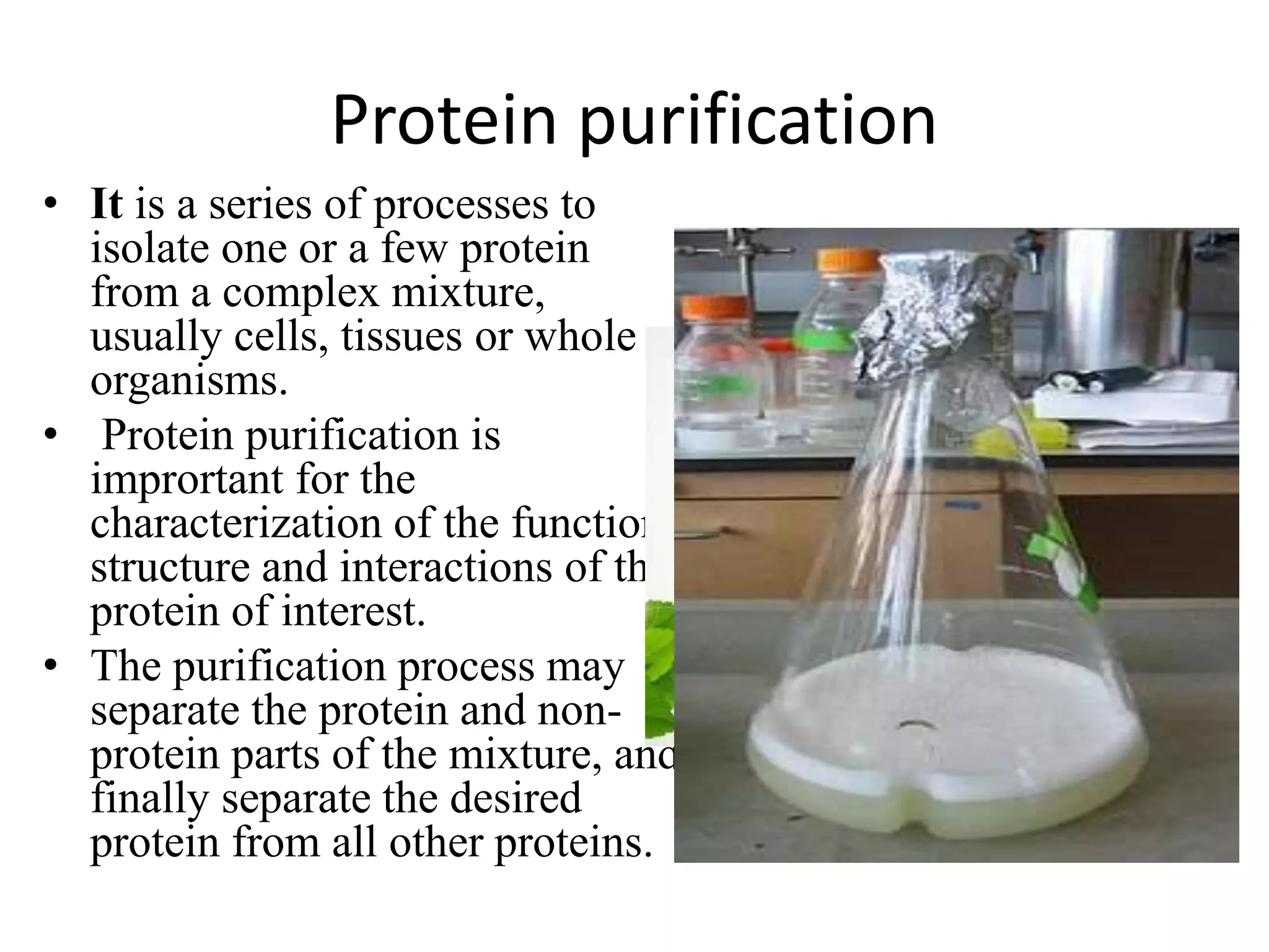 Protein purification by vimalpriya subramanian | PPTX