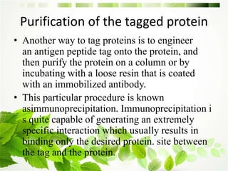 Protein purification by vimalpriya subramanian | PPTX