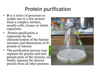 Protein purification by vimalpriya subramanian | PPTX