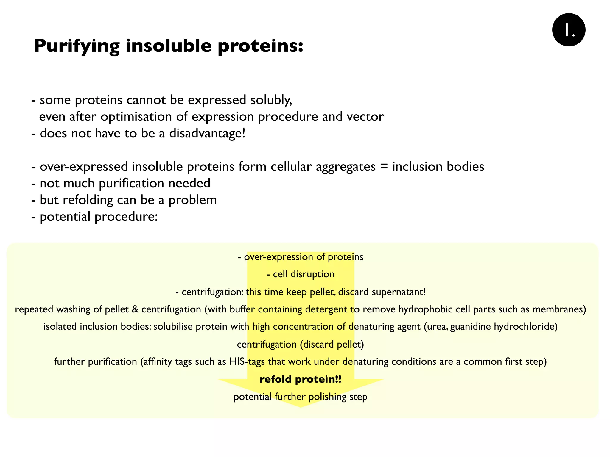 Protein purification | PDF