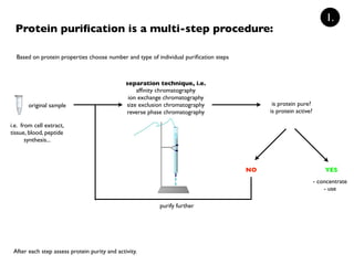 Protein purification | PDF