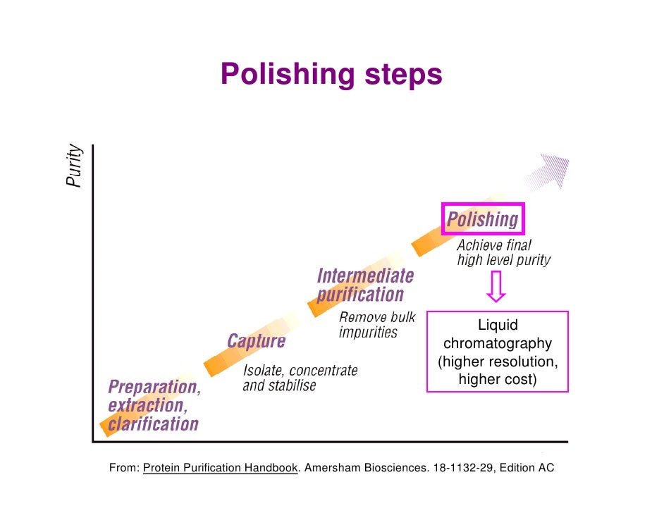 Protein Purification Hjp