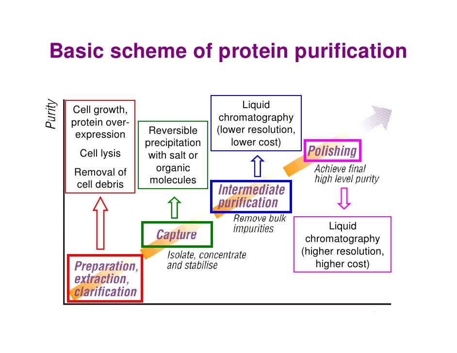 Cell Lysis Buffer Recipe Protein Purification Besto Blog Cell Lysis Buffer Recipe Protein Purification Besto Blog