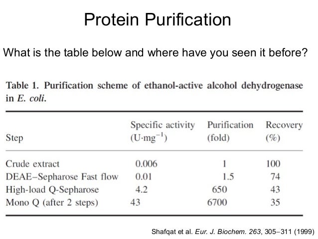 Protein Purification Lecture