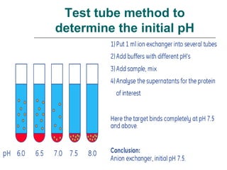Protein purification stratigies | PPT