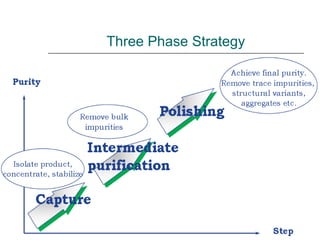 Protein purification stratigies | PPT