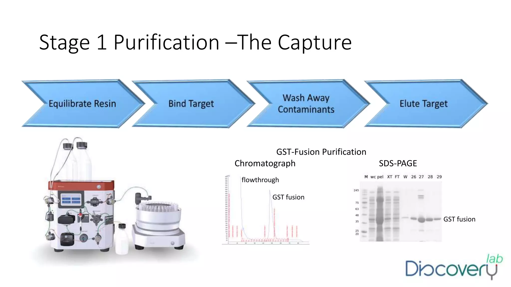 Protein purification | PPTX